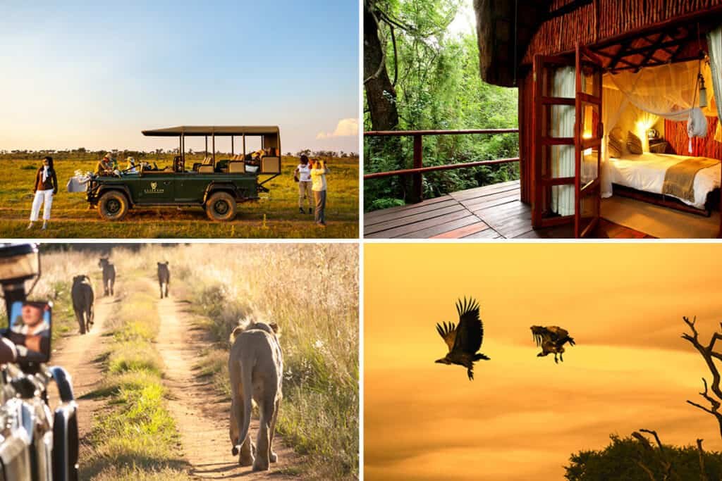 The Ultimate two-week Safari in South Africa - karelnoppe